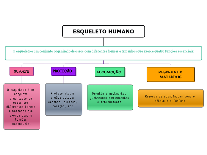 ESQUELETO HUMANO - Mind Map
